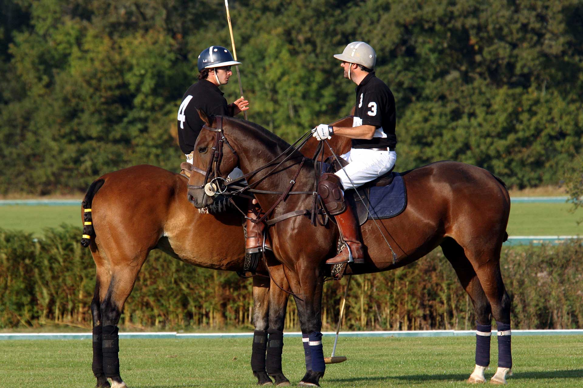 Introduction to polo & the history of an ancient sport - Hurtwood Park Polo