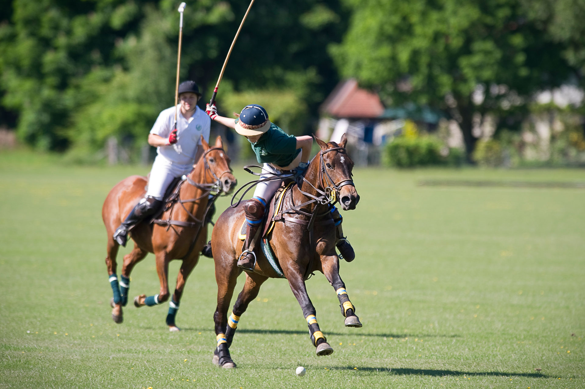 Polo Academy - polo lessons, tuition and instructional chukkas